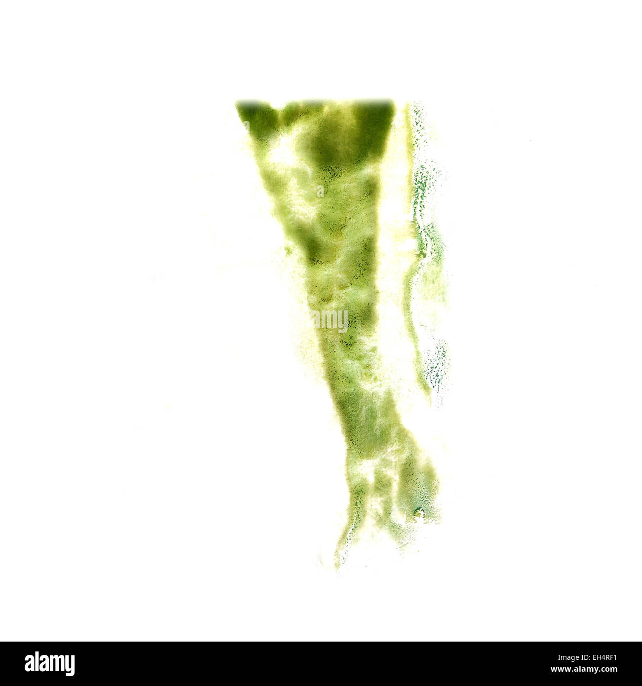 stain green with watercolour paint stroke watercolor isolated Stock ...