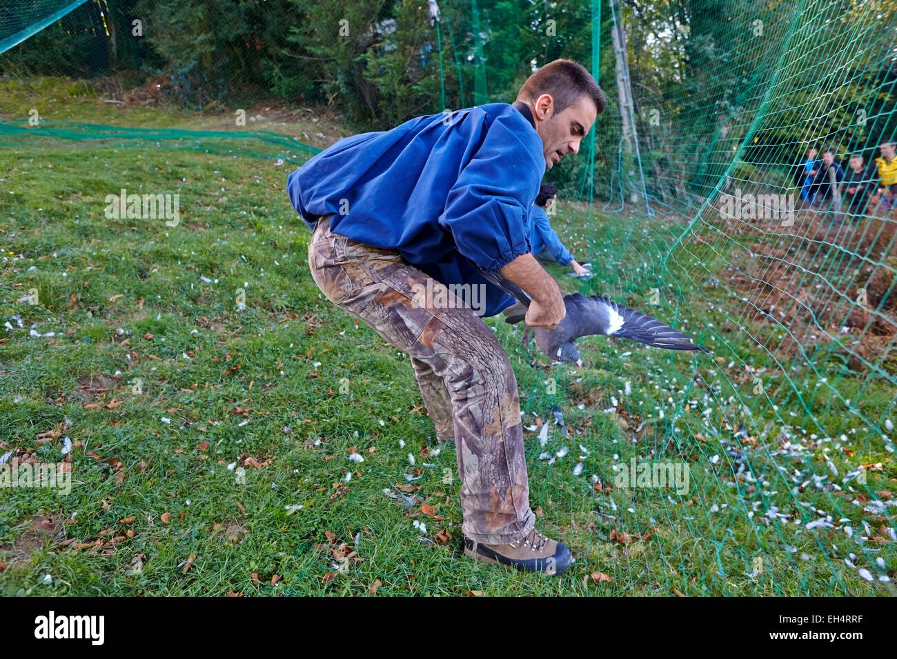 Bird nets hunting hi-res stock photography and images - Alamy