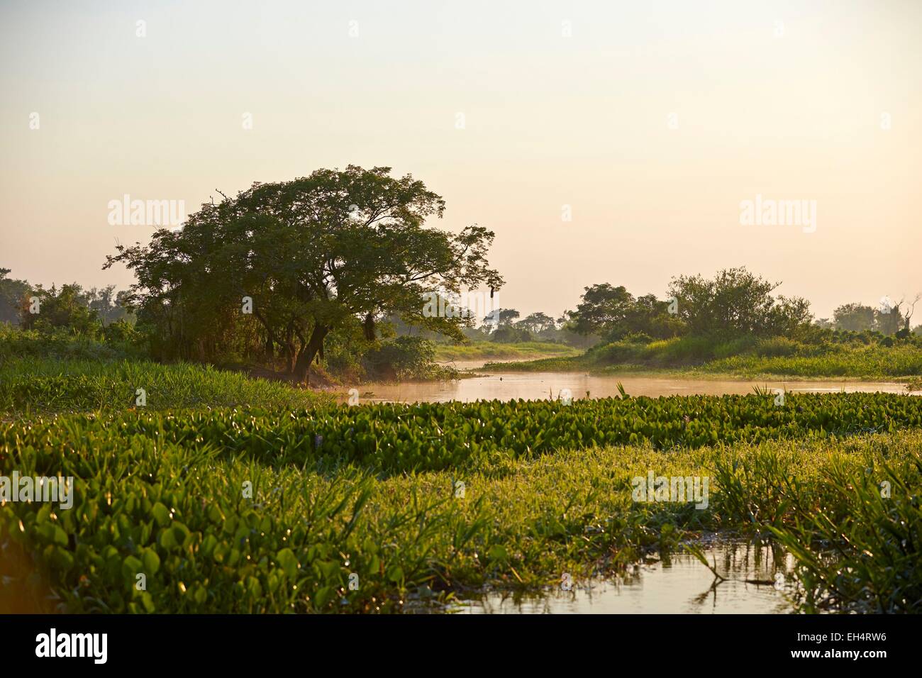 Cuiaba river sunrise pantanal mato hi-res stock photography and images ...