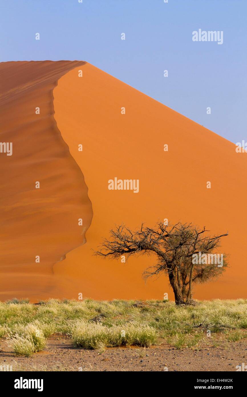 Namibia, Hardap region, Namib desert, Namib Naukluft national park ...