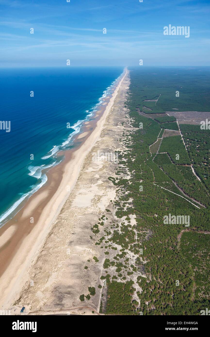 France, Gironde, Le Porge, the beach, the dune and the pine forest ...