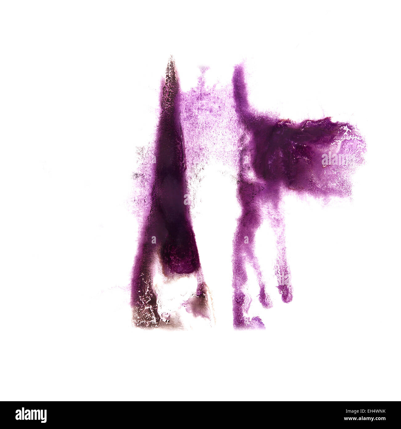 stain purple with watercolour paint stroke watercolor isolated Stock ...