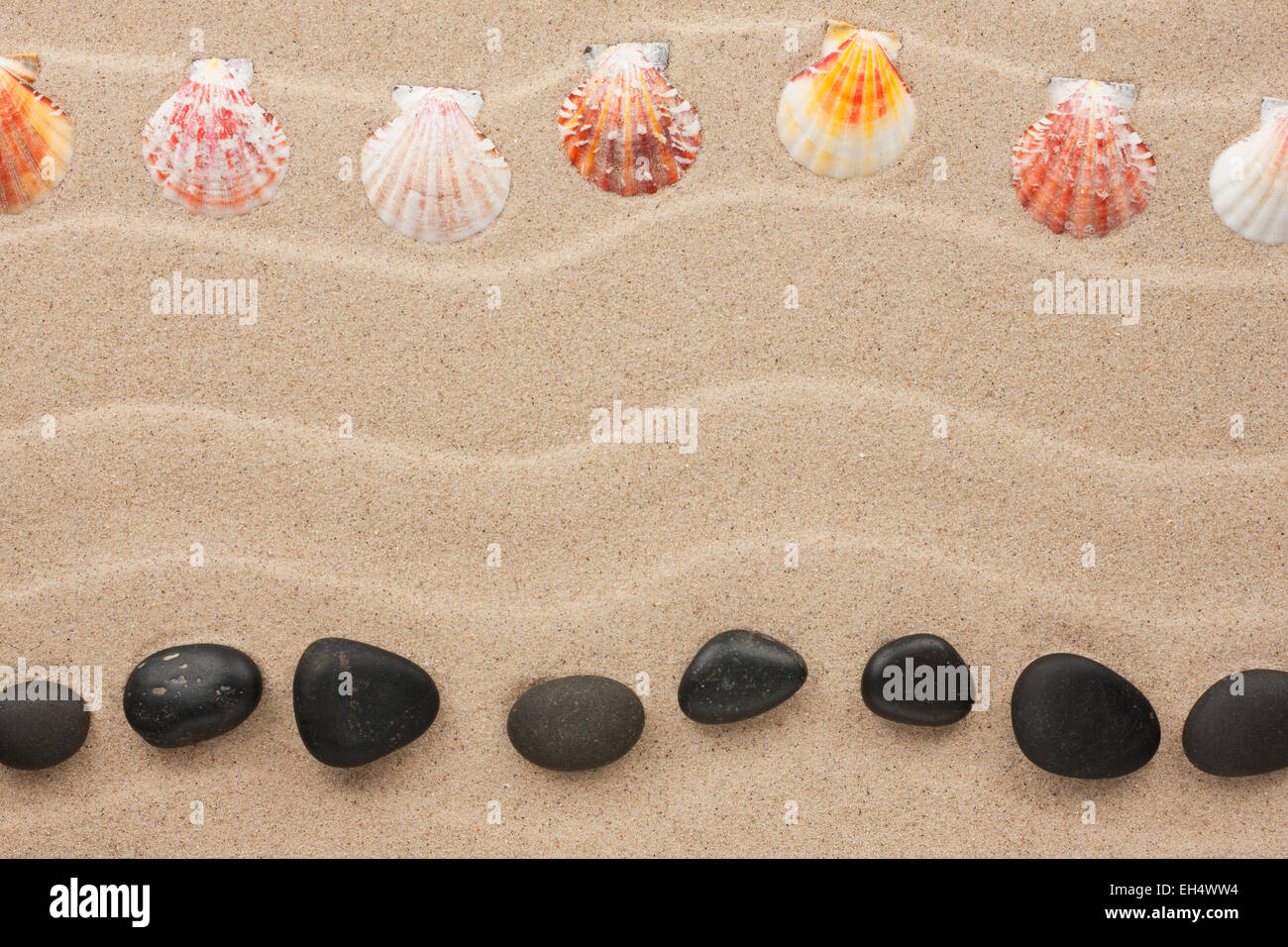 Sand stones shells texture hi-res stock photography and images - Alamy