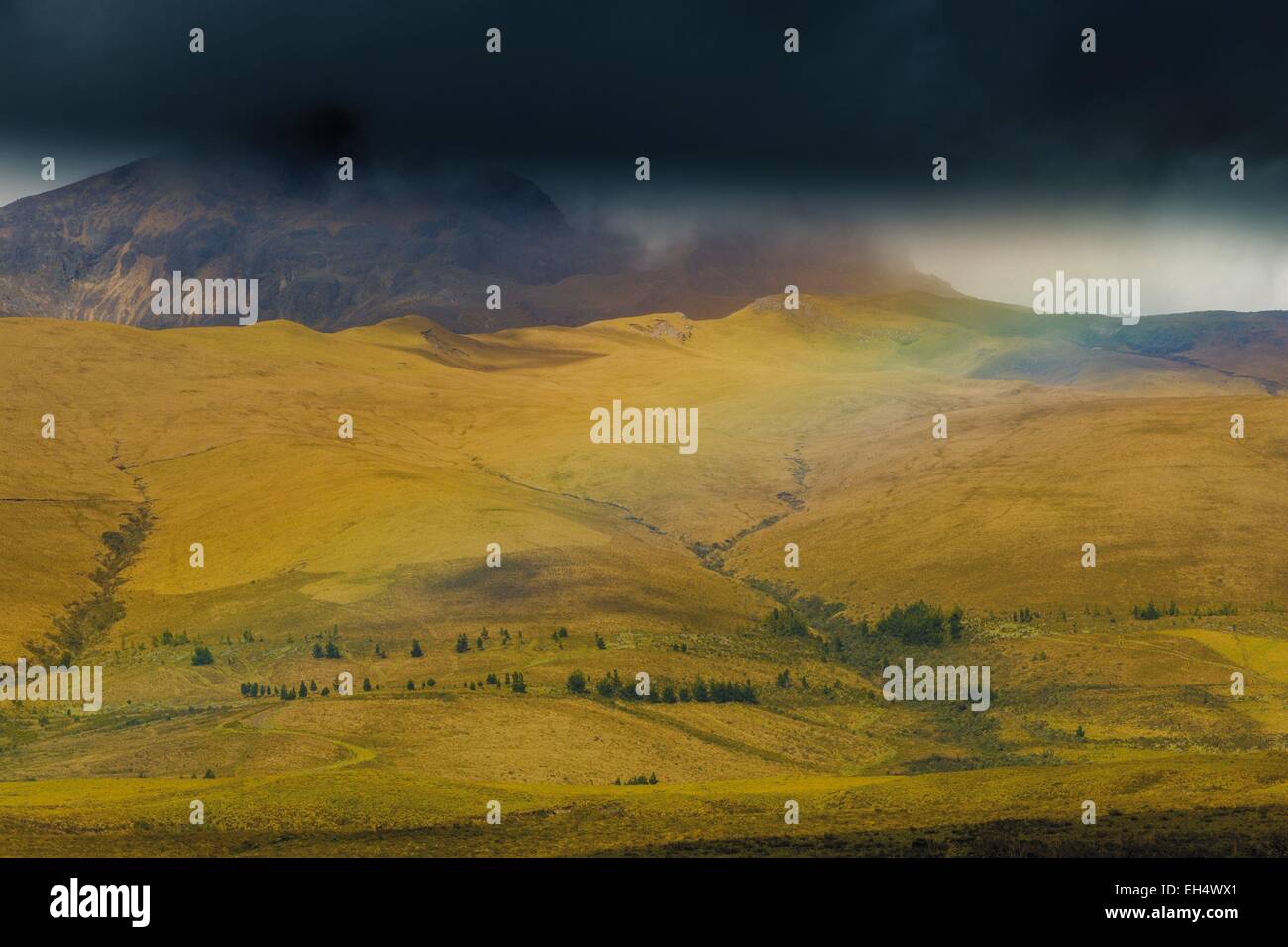 Ecuador, Cotopaxi, Cotopaxi National Park, Andean mountain landscape of ...