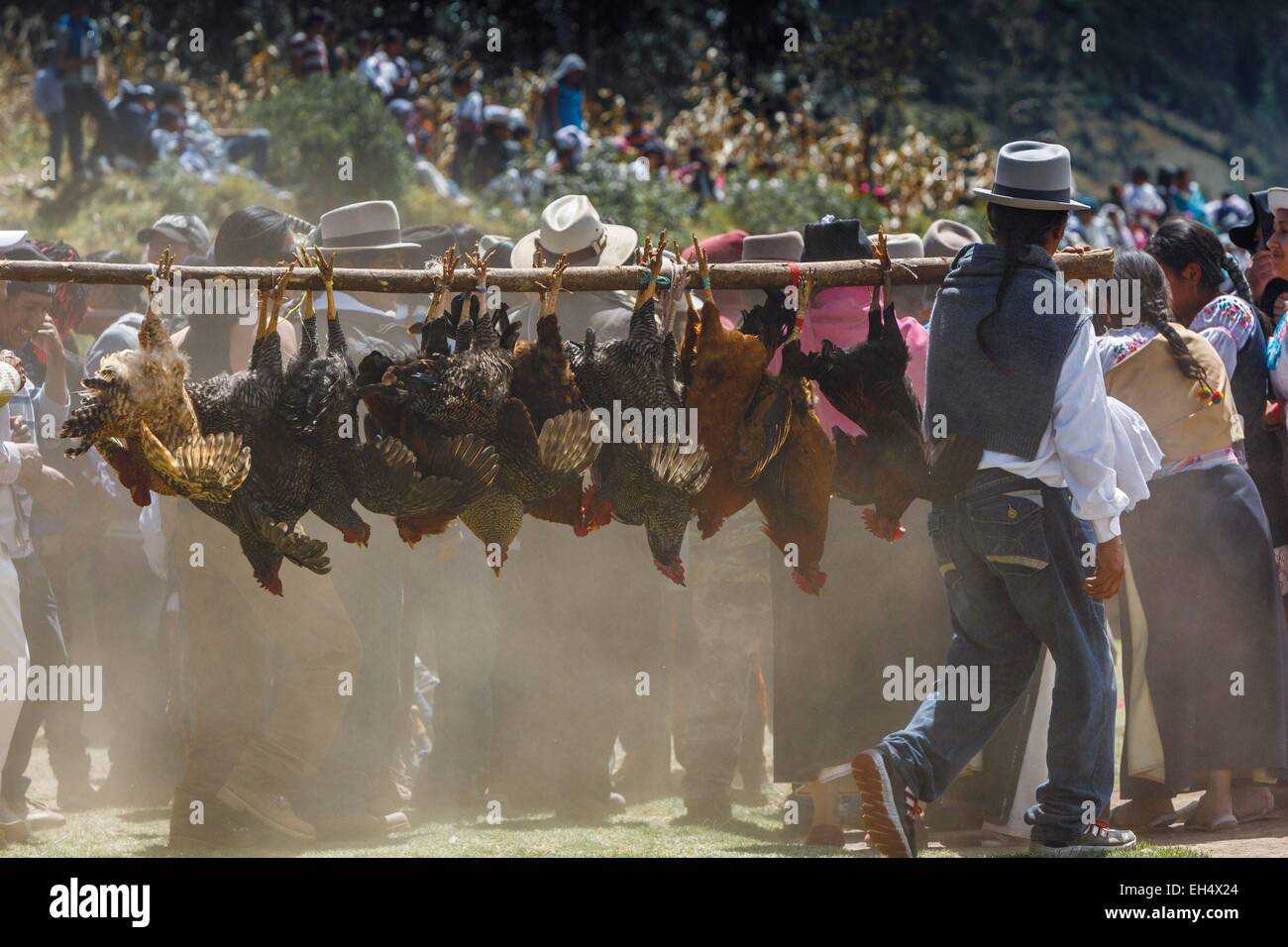 Ecuador, Imbabura, San Pablo rural community, Intyrami day, group of ...