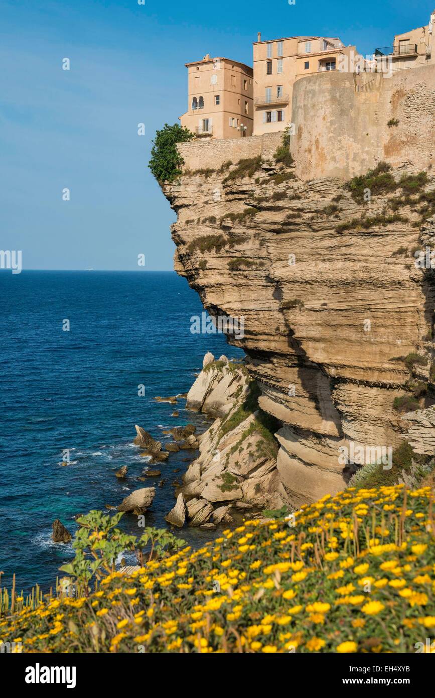 France, Corse du Sud, Bonifacio, Bonifacio cliff Stock Photo - Alamy