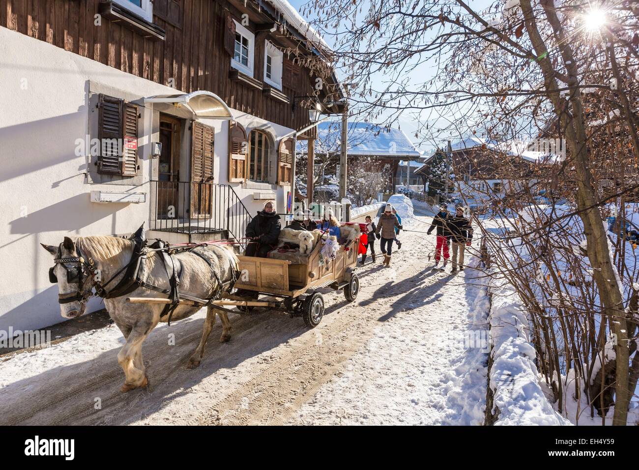 Number sled hi-res stock photography and images - Alamy