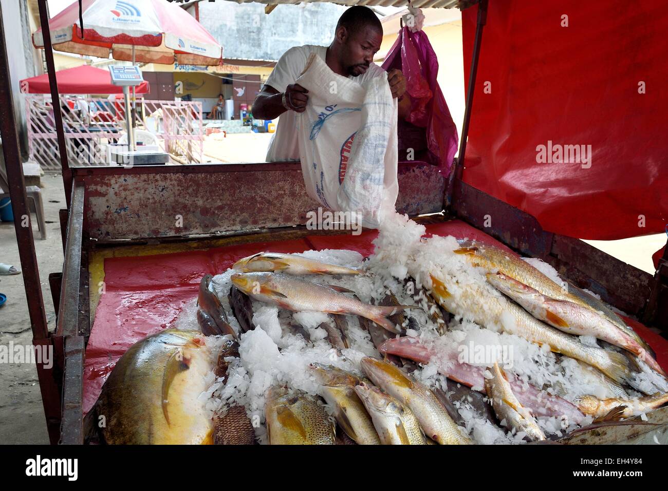 Gabon, Libreville, Port Mole, fish stall, tuna left, emperor in the top ...