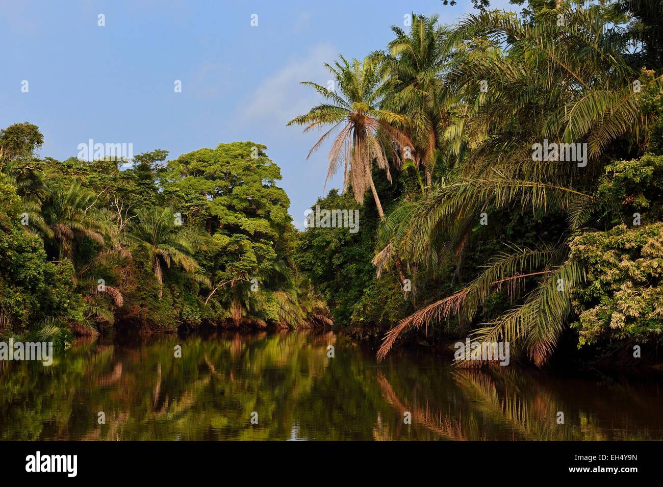 Gabon, Ogooue-Maritime Province, one of the many rivers in the Fernan ...