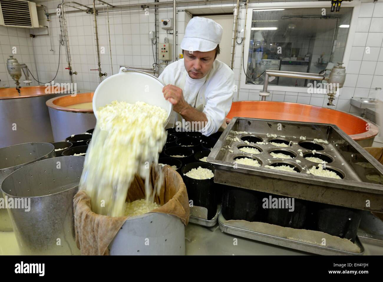France, Doubs, Saint Point Lac, Michelin cheese dairy, cheese making ...