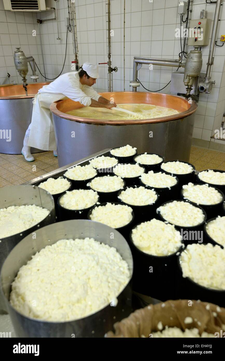France, Doubs, Saint Point Lac, Michelin cheese dairy, cheese making ...
