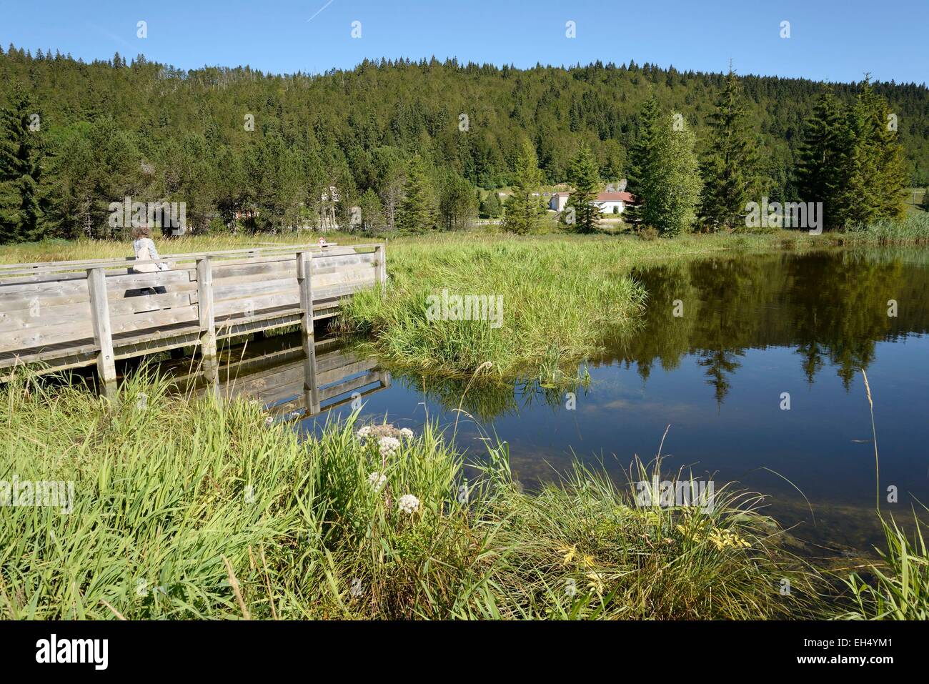 France, Jura, Les Rousses, Lac des Rousses, peatland, nature trail ...