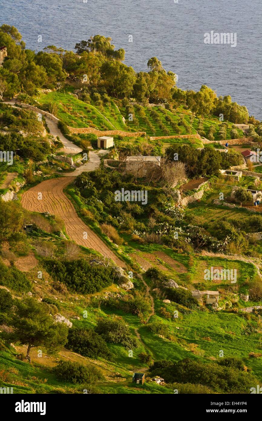 Had dingli hi-res stock photography and images - Alamy