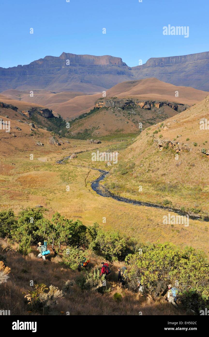 Drakensberg mountains walking hi-res stock photography and images - Alamy