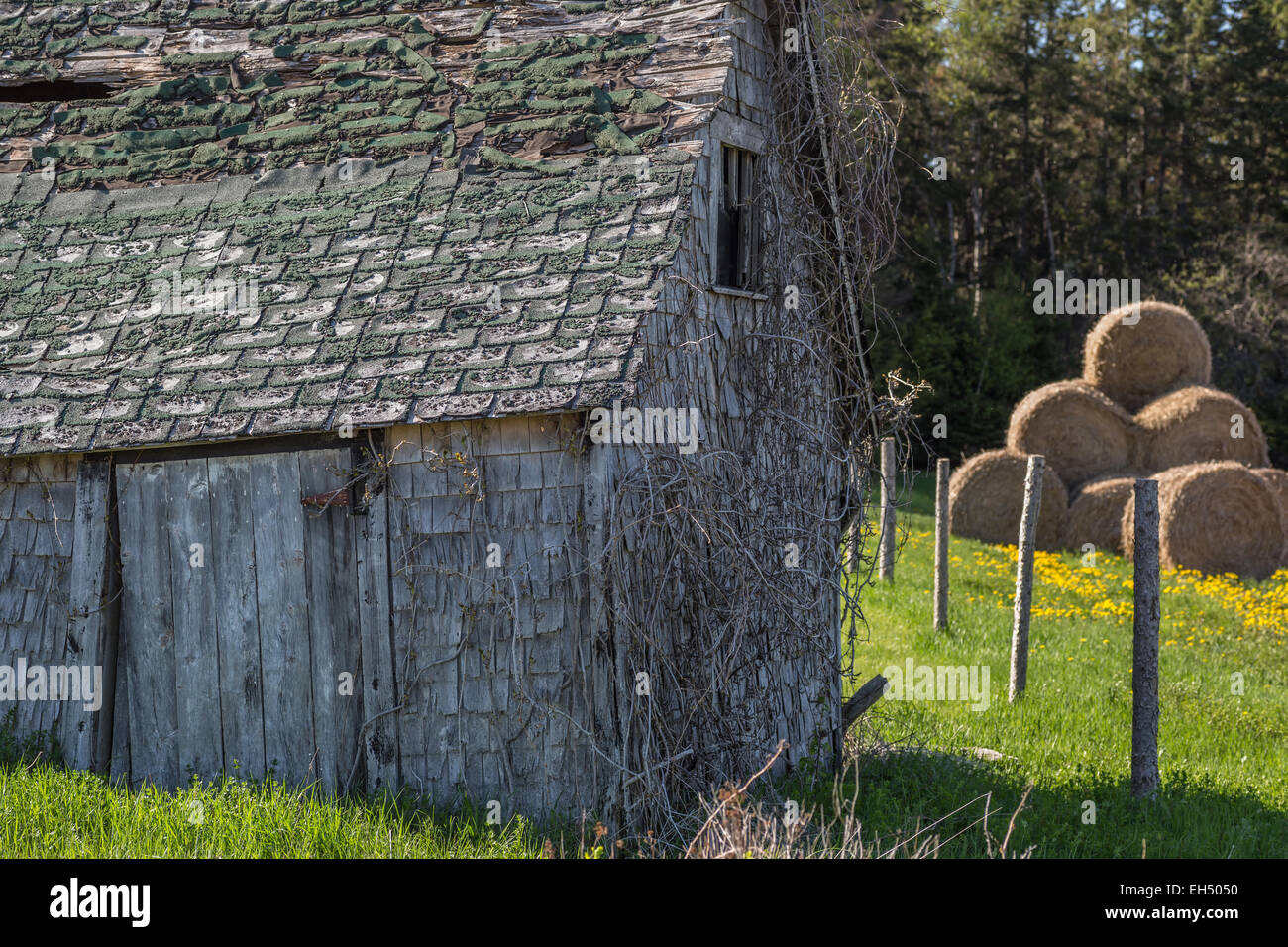 Old falling down barn in hi-res stock photography and images - Alamy