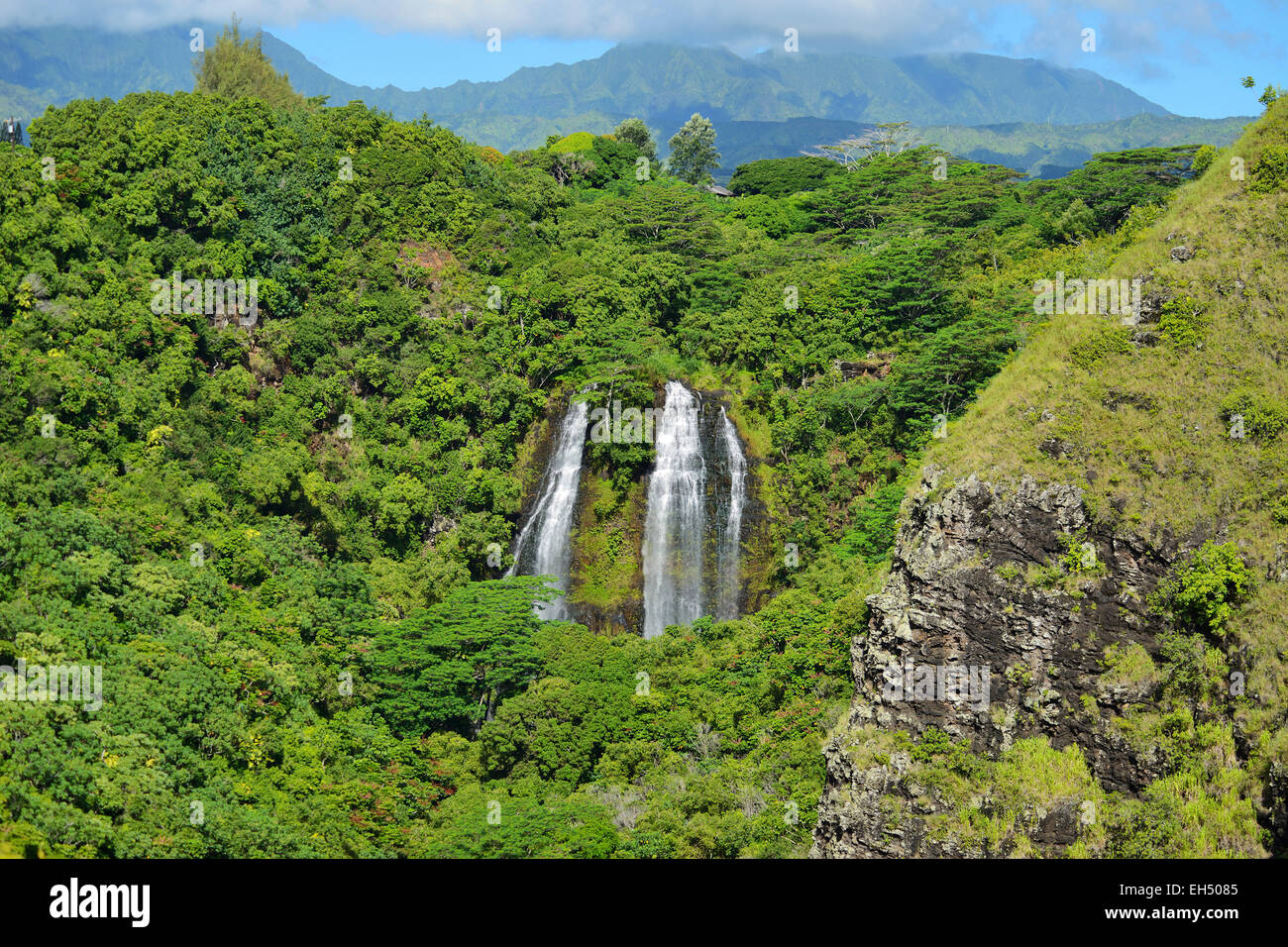 Opaeka'a Falls in Wailua River State Park, Kauai, Hawaii, USA Stock ...