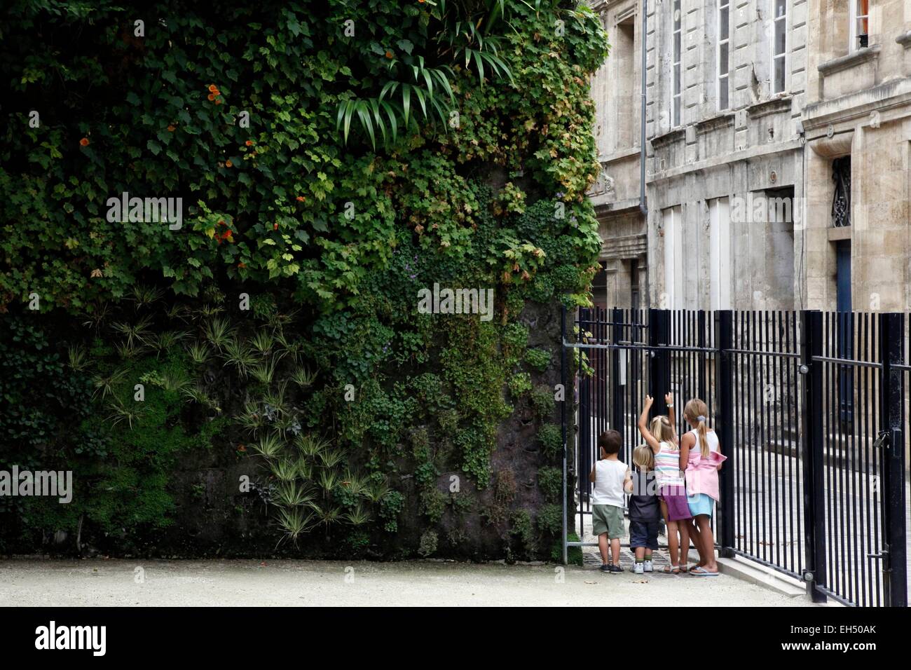 France, Gironde, Bordeaux, The plant wall of the attractive public ...