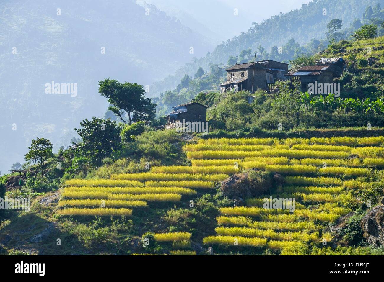 Tatopani nepal hi-res stock photography and images - Alamy