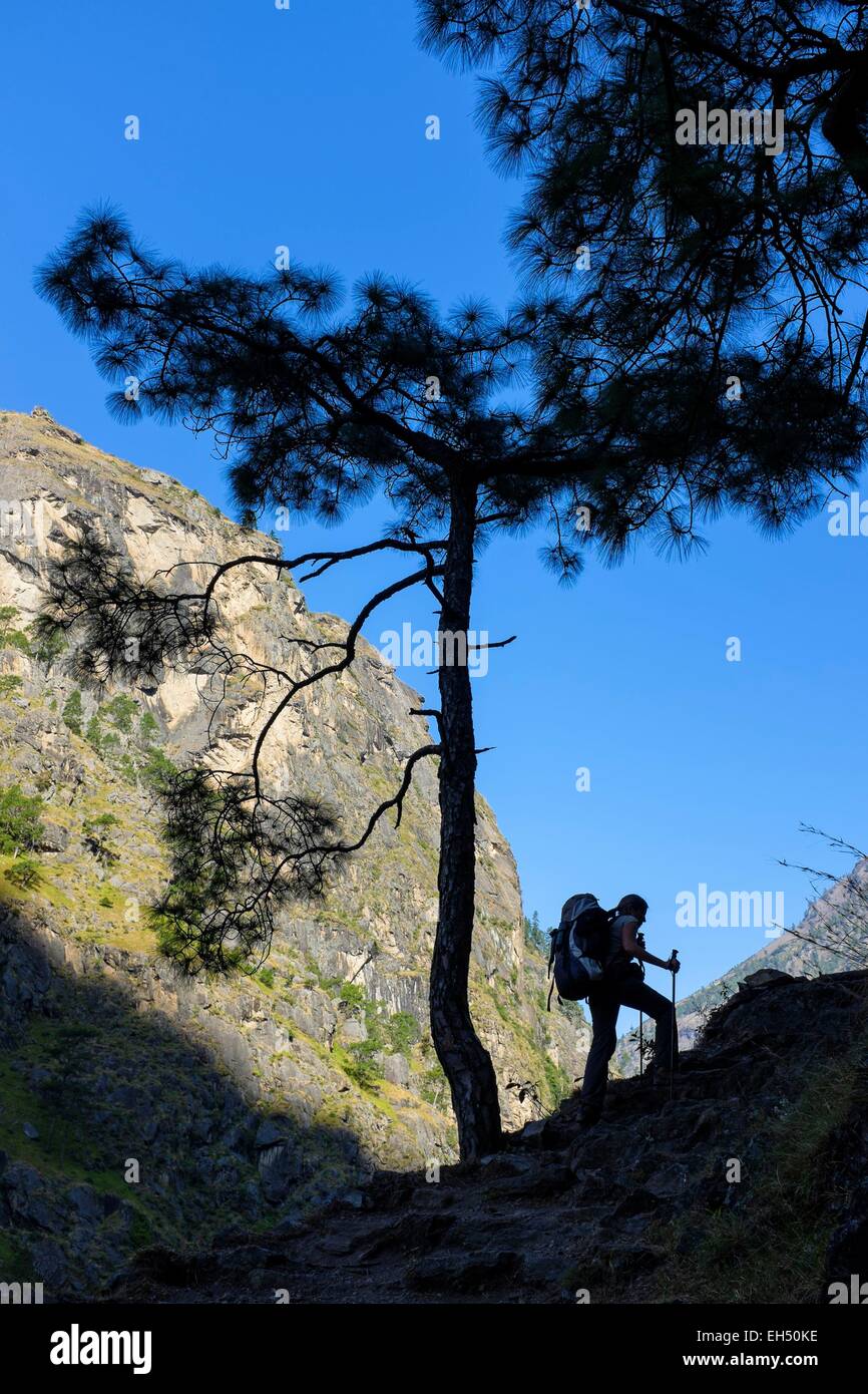 Lokpa hi-res stock photography and images - Alamy