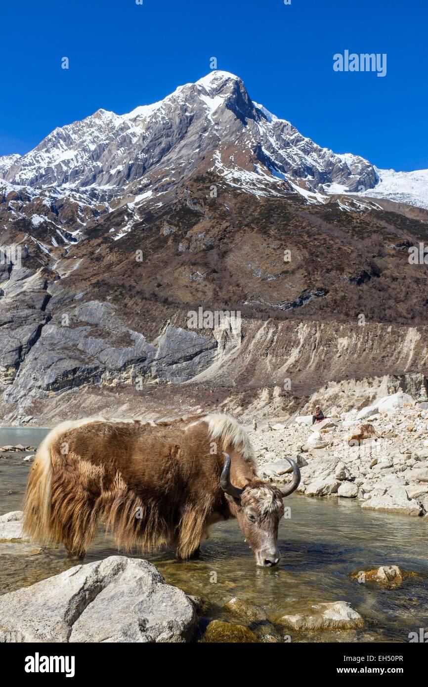 Birendra of nepal hi-res stock photography and images - Alamy