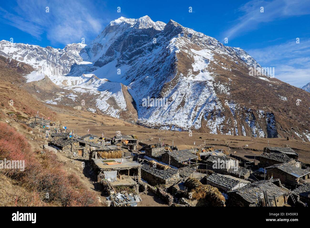 Nepal, Gandaki zone, Manaslu Circuit, between Samagaon and Samdo, Samdo ...