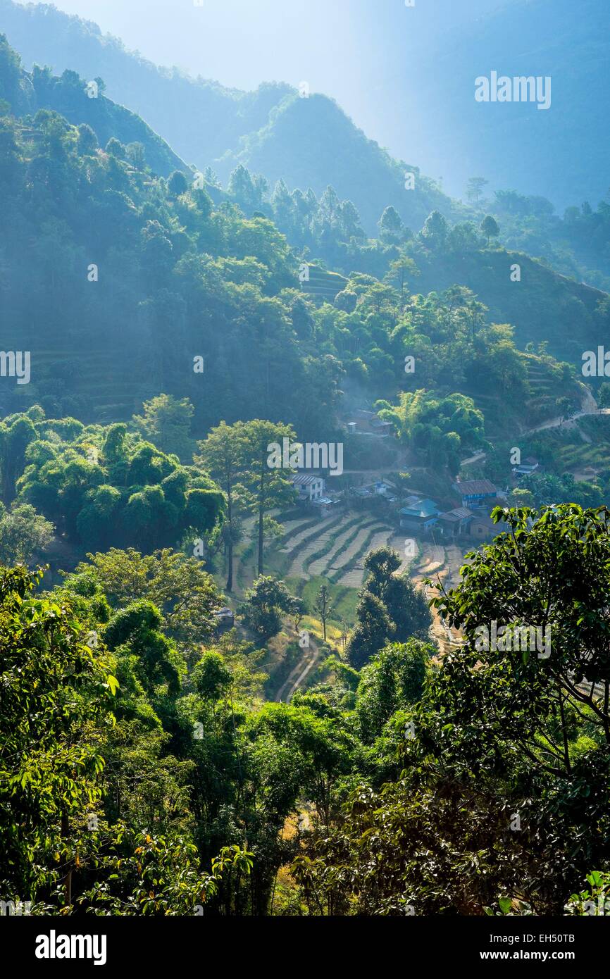 Nepal, Gandaki zone, Manaslu Circuit, between Tal and Bahundanda ...
