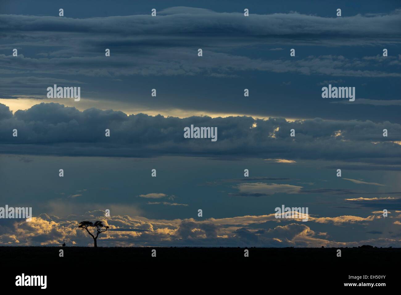 Plains game hi-res stock photography and images - Alamy