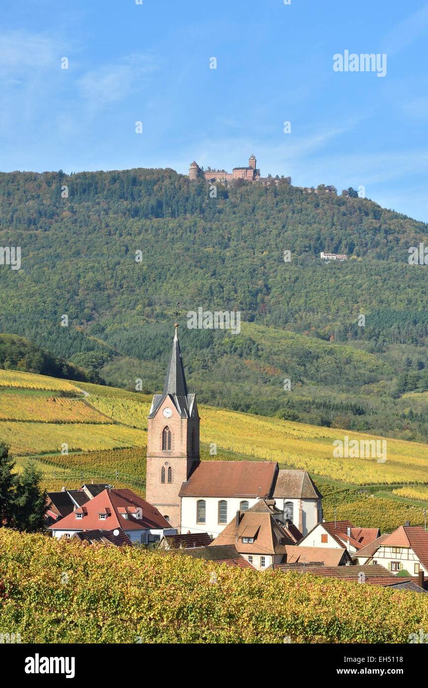 France, Haut Rhin, on the Wine Road of Alsace, Rodern village and Haut ...