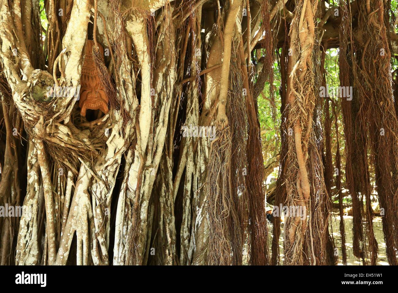 France, New Caledonia, Southern Province, off Noumea, nature reserve ...