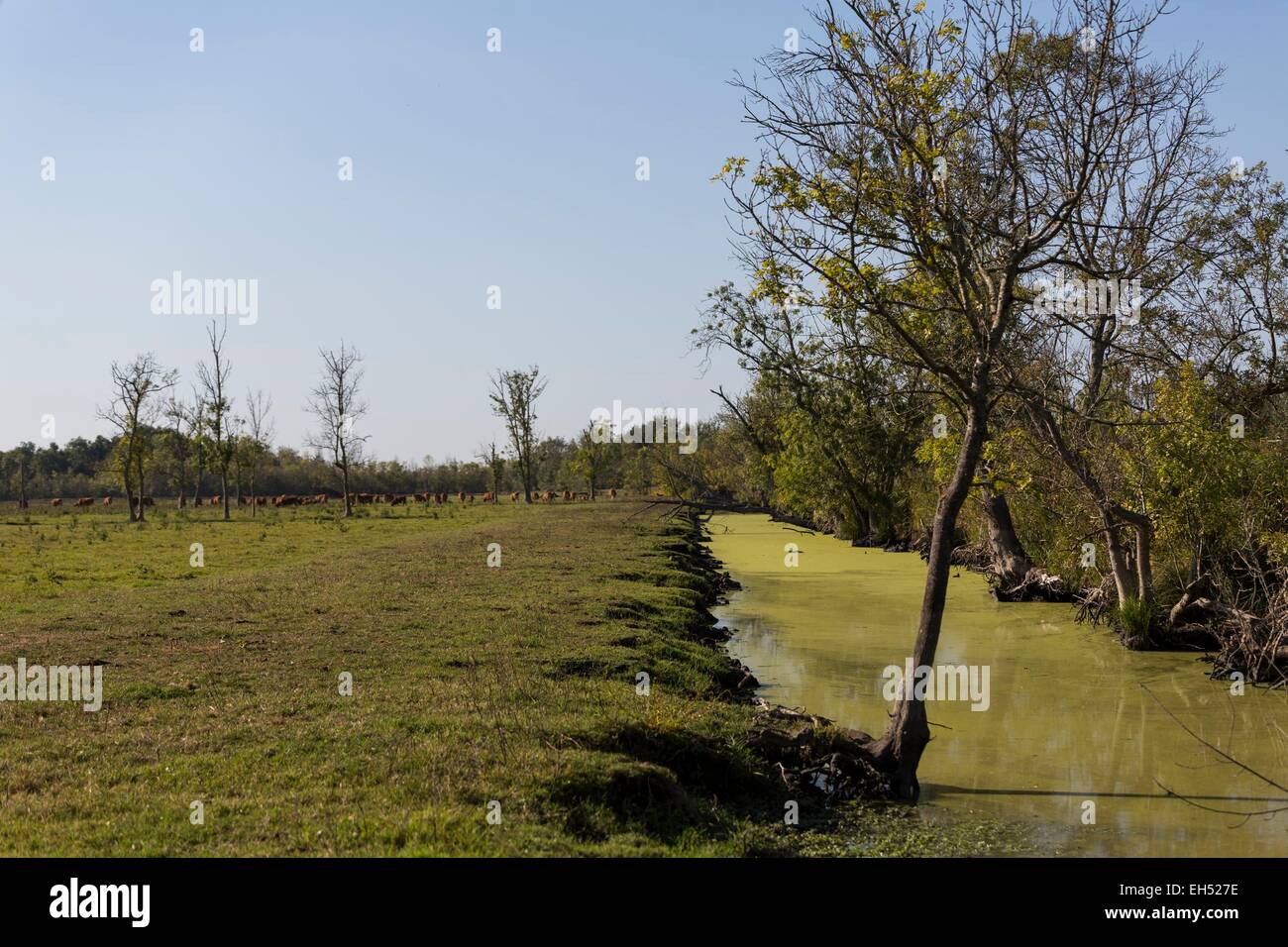 Anglade hi-res stock photography and images - Alamy