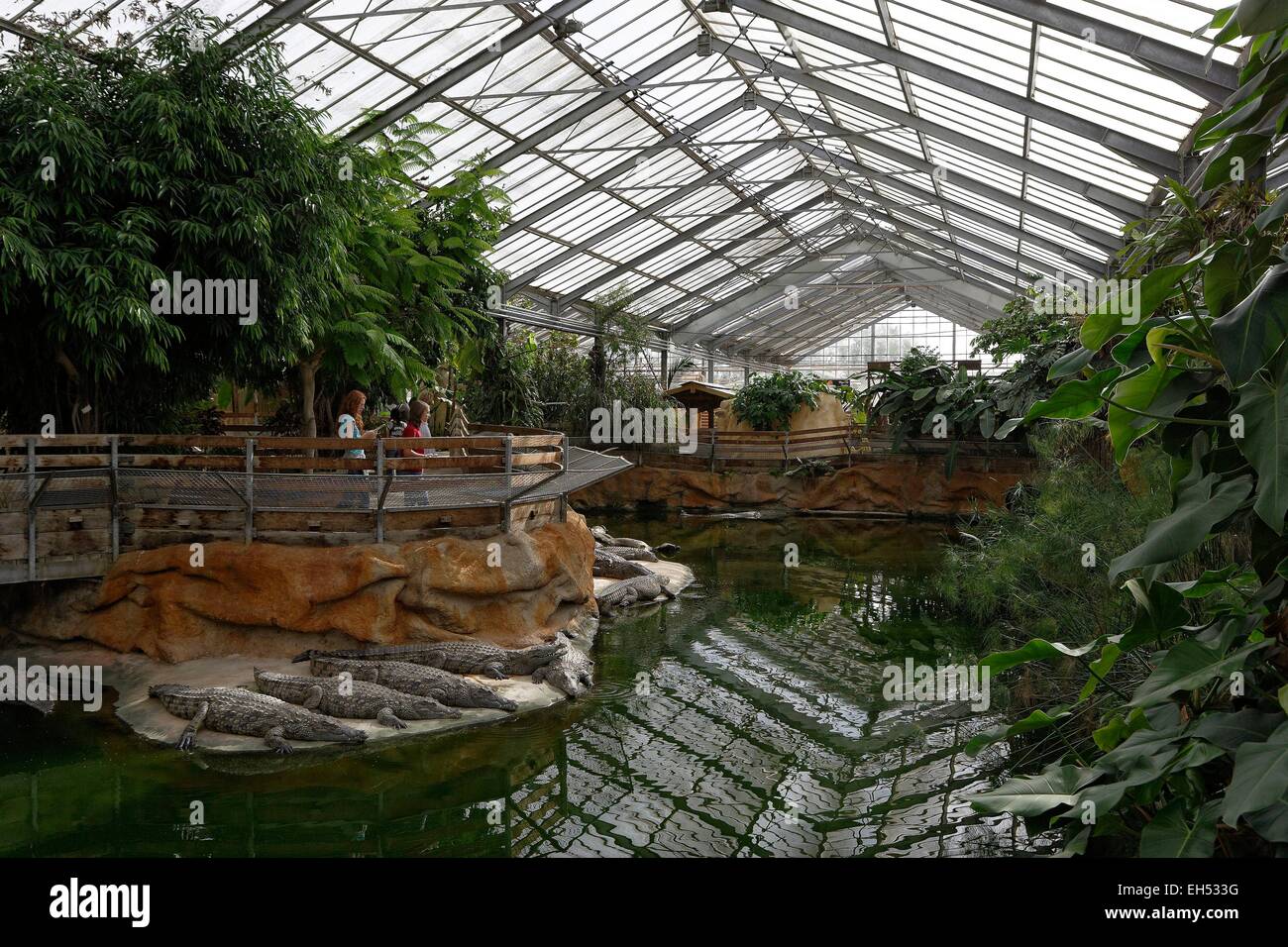 France, Drome, Pierrelatte, Crocodiles farm Stock Photo - Alamy