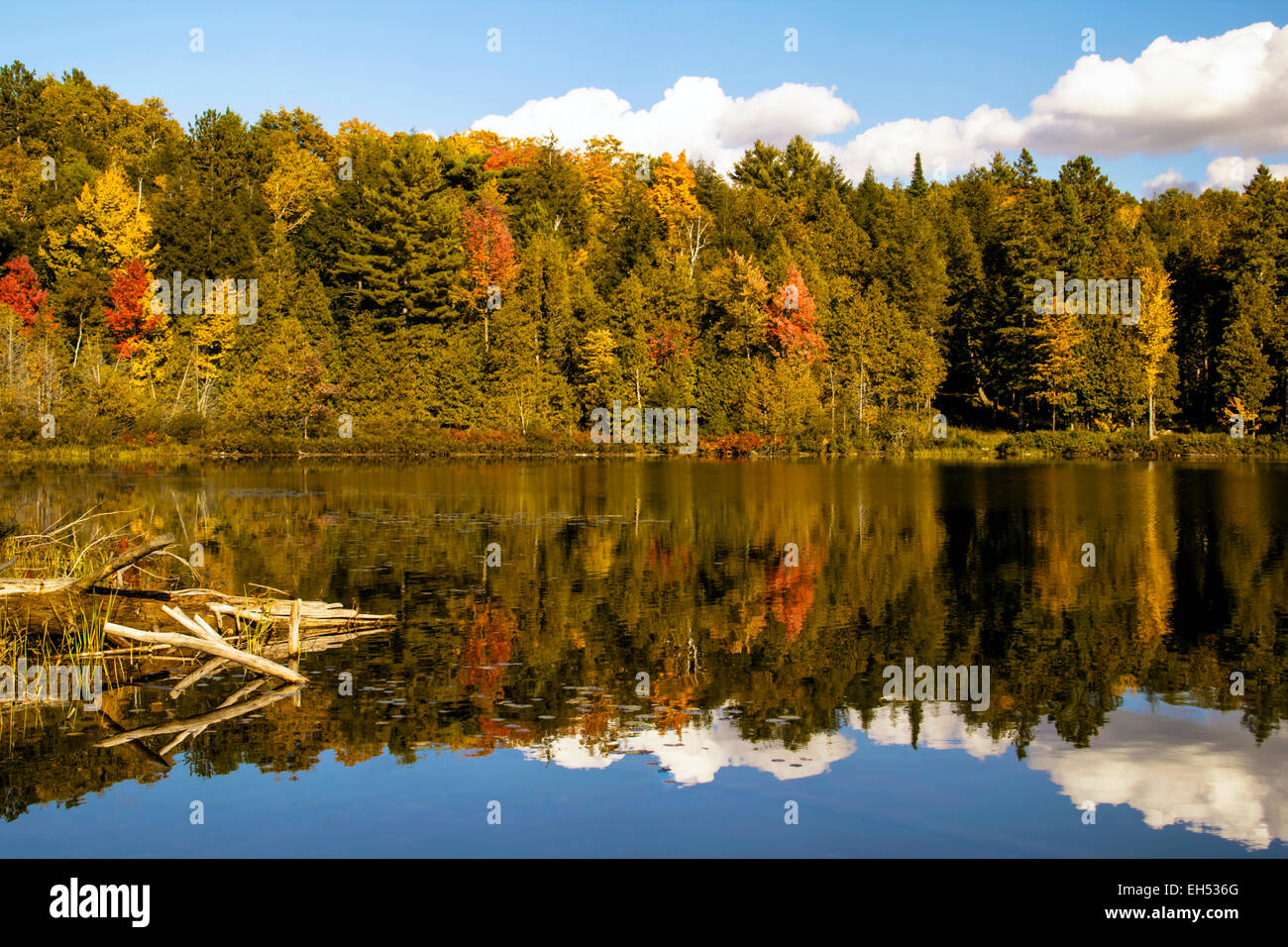 The natural beauty of Canada displays itself as trees change colour in ...