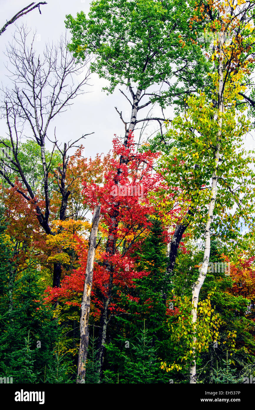 Autumn in the Renfrew Valley of Central Ontario, Canada Stock Photo - Alamy