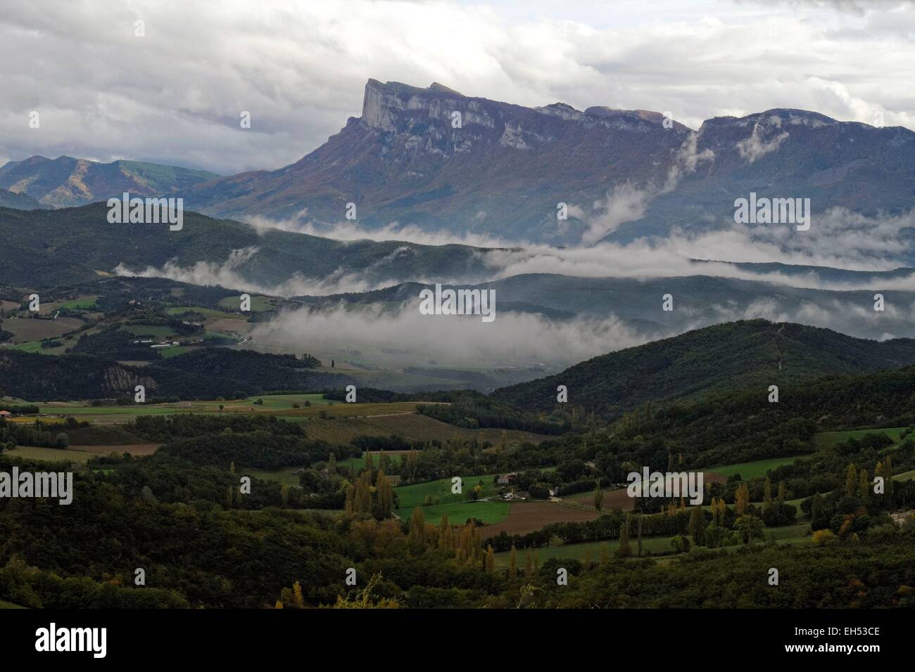 Becs hi-res stock photography and images - Alamy