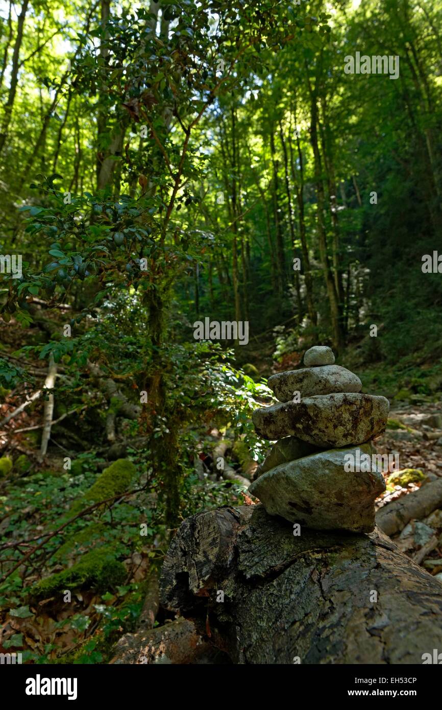 France, Drome, Saou forest Stock Photo - Alamy