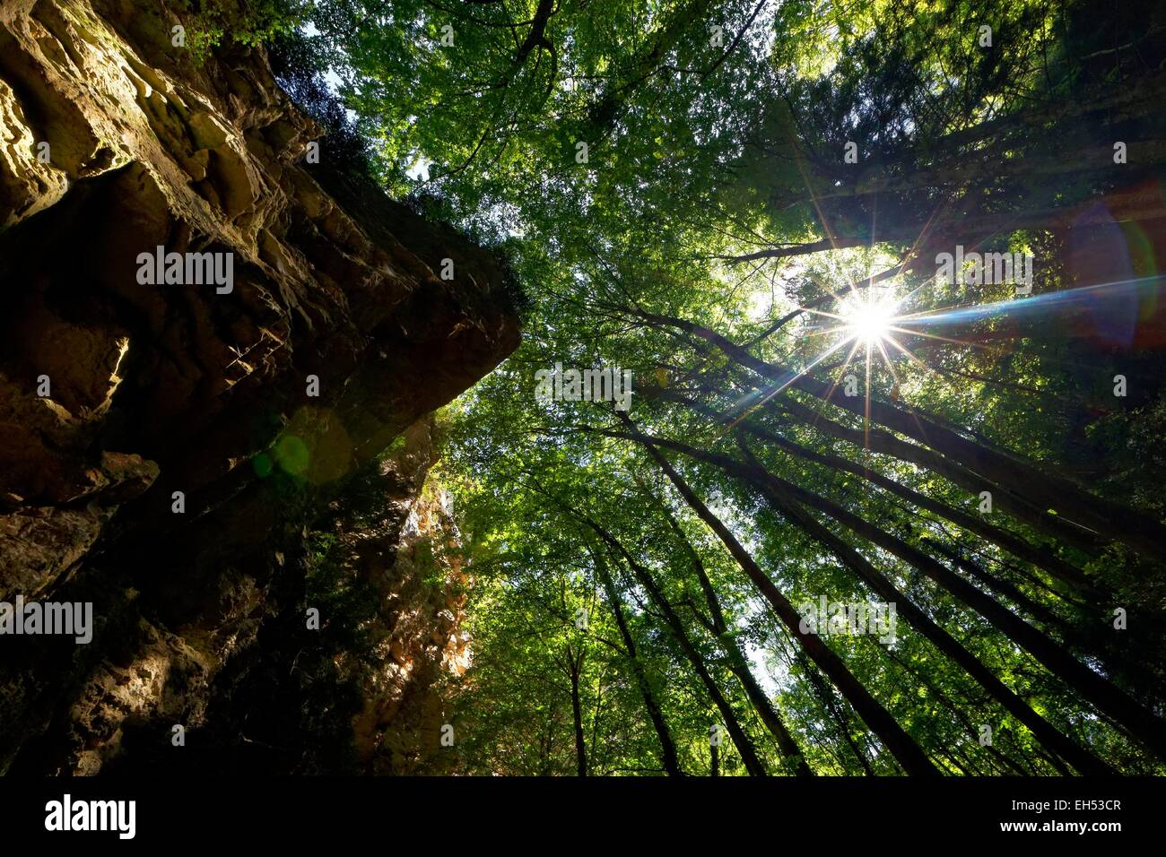 France, Drome, Saou forest Stock Photo - Alamy