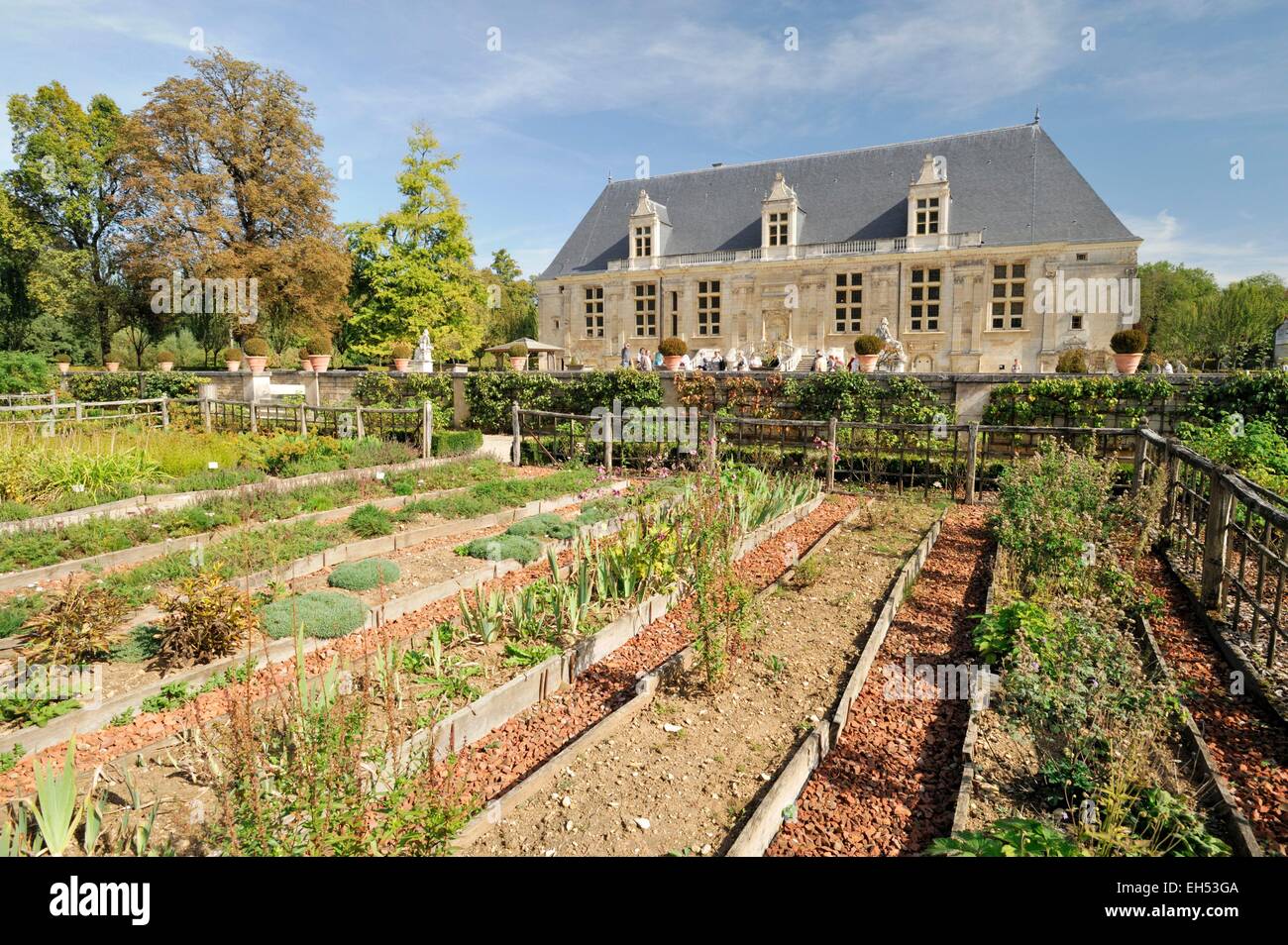 France, Haute Marne, Joinville, castle du Grand Jardin, vegetable ...