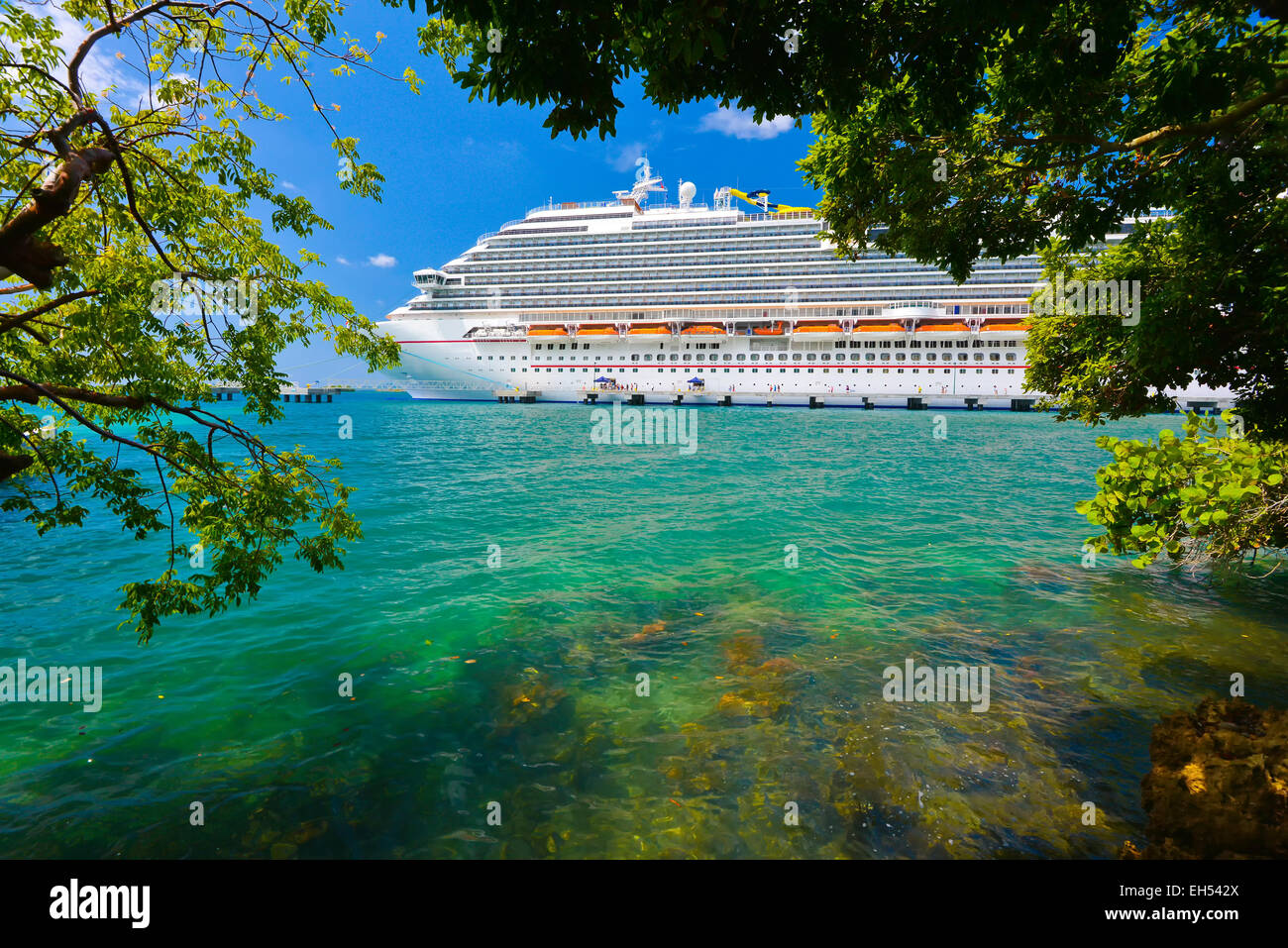 Tree and Cruise Ship Stock Photo - Alamy