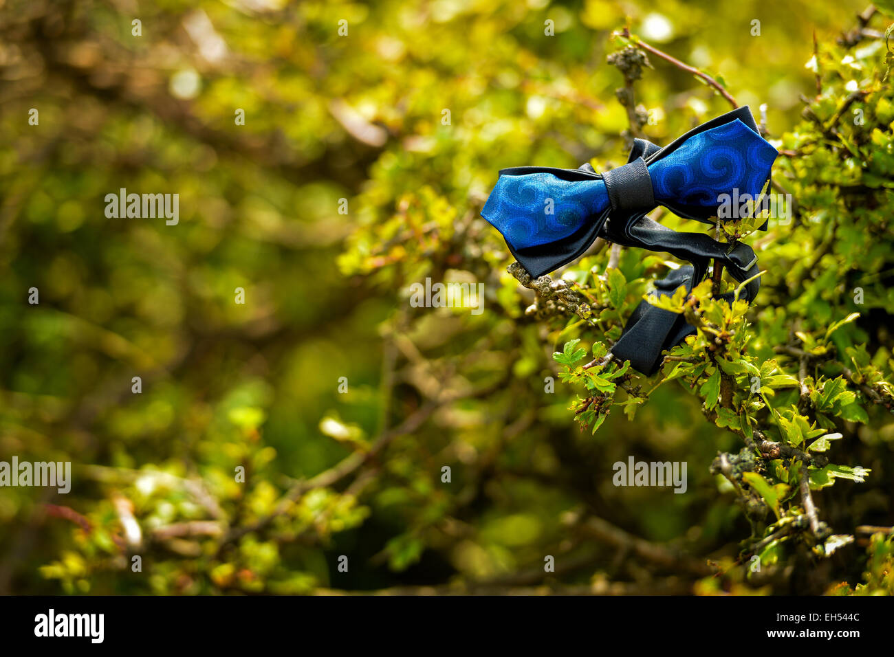 Tie a leaf hi-res stock photography and images - Alamy