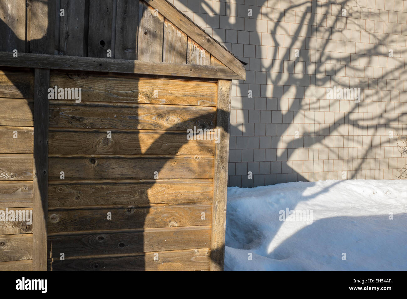 Tree Shadow on Two Buildings Stock Photo - Alamy