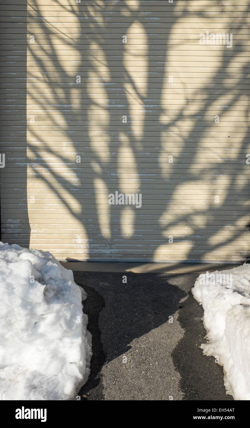Tree Shadows on Snow and Garage Door Stock Photo - Alamy