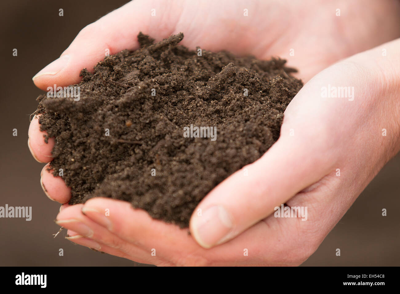 Soil mould hi-res stock photography and images - Alamy