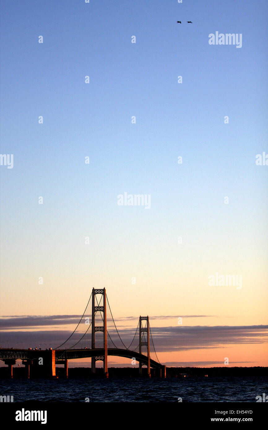 Geese fly over the Mackinac Bridge, as seen from the Michigan shoreline ...