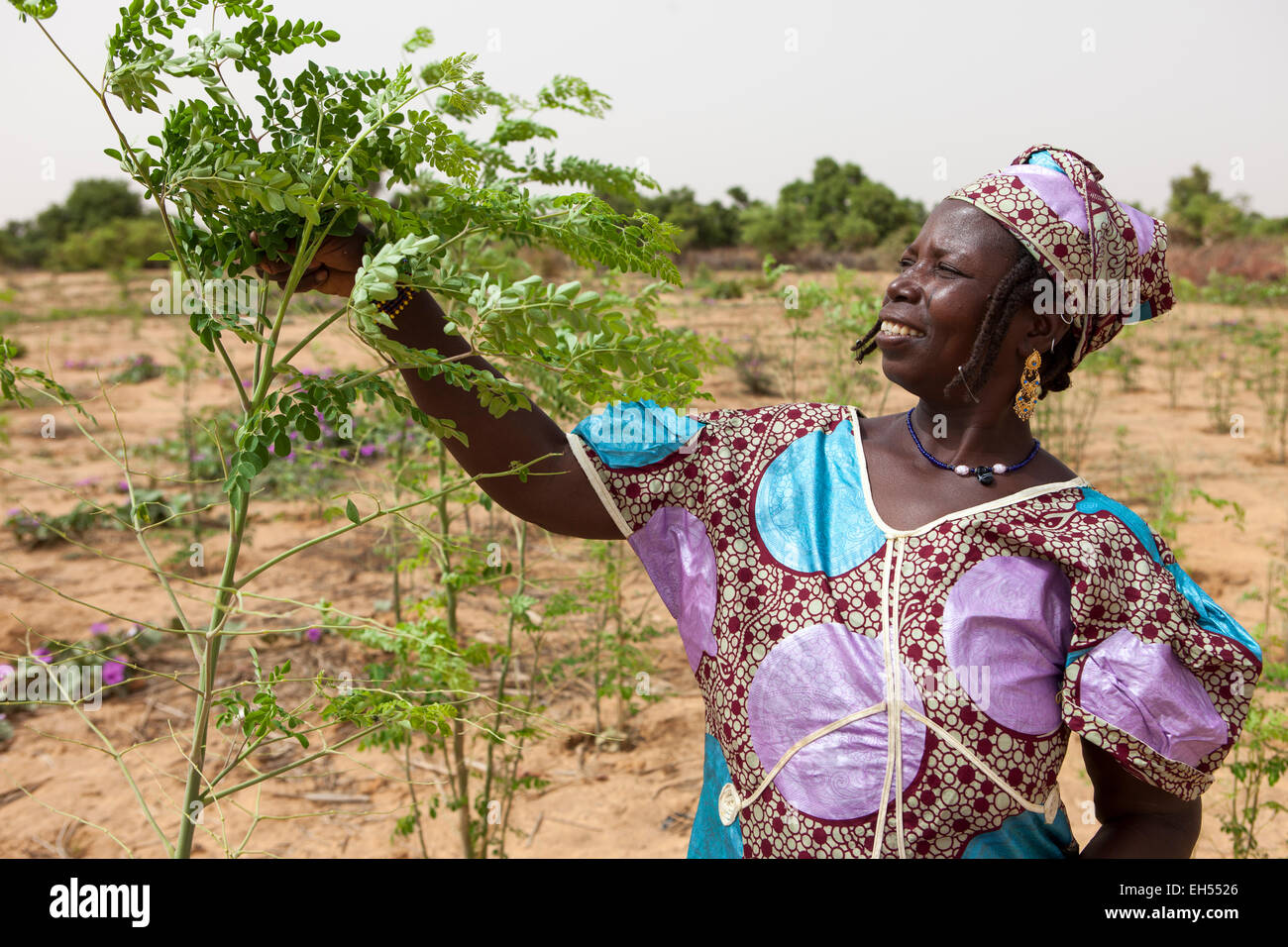Women's Garden Group, Tera, west Niger: Ramata Hama, 38, one of 52 ...