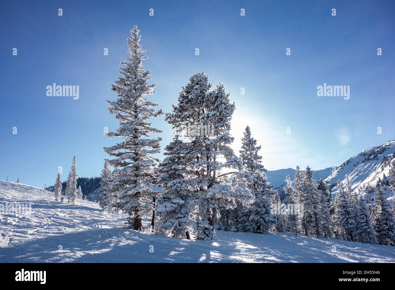 Light snow on slopes hi-res stock photography and images - Alamy