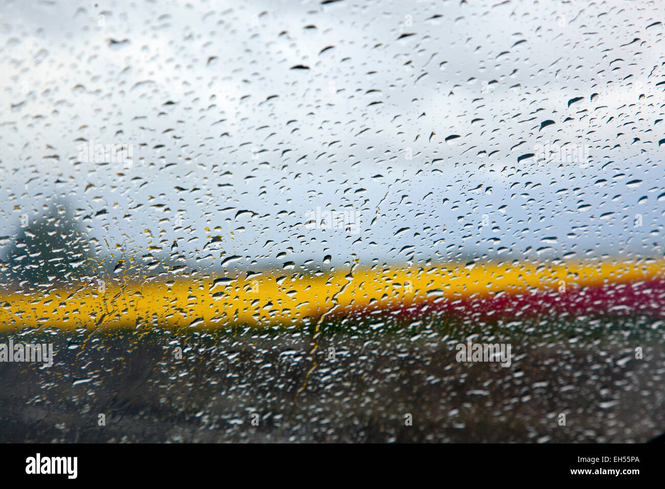 Tulip fields, seen through a wet windscreen, at Laconner, Skaggit ...