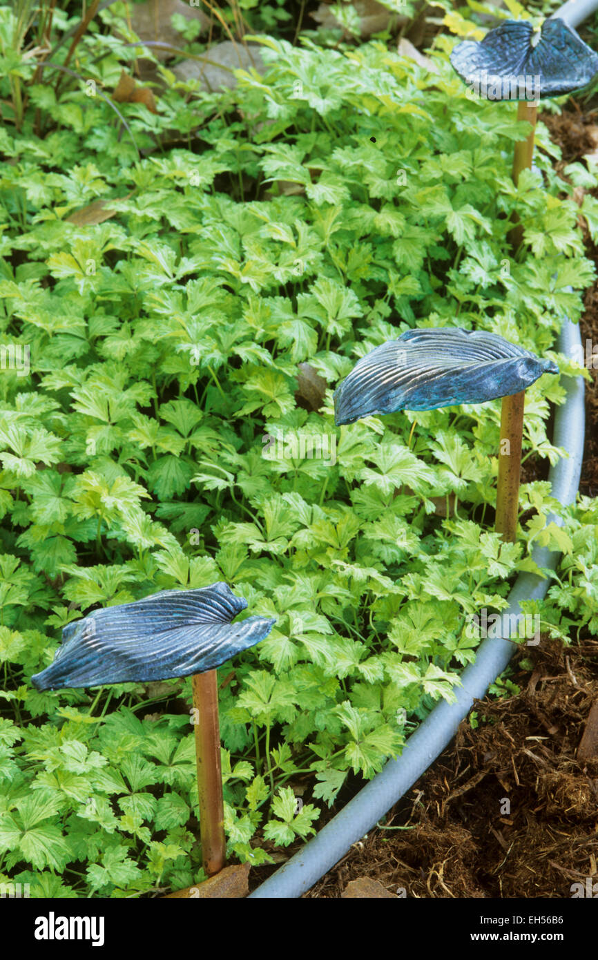 Cast concrete leaf / leaves Stock Photo - Alamy