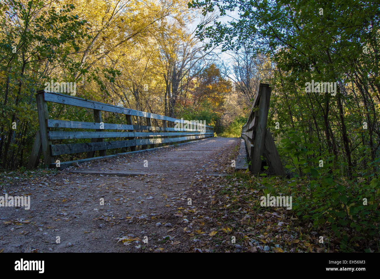 Wooden Bridge During Minnesota Fall Stock Photo - Alamy