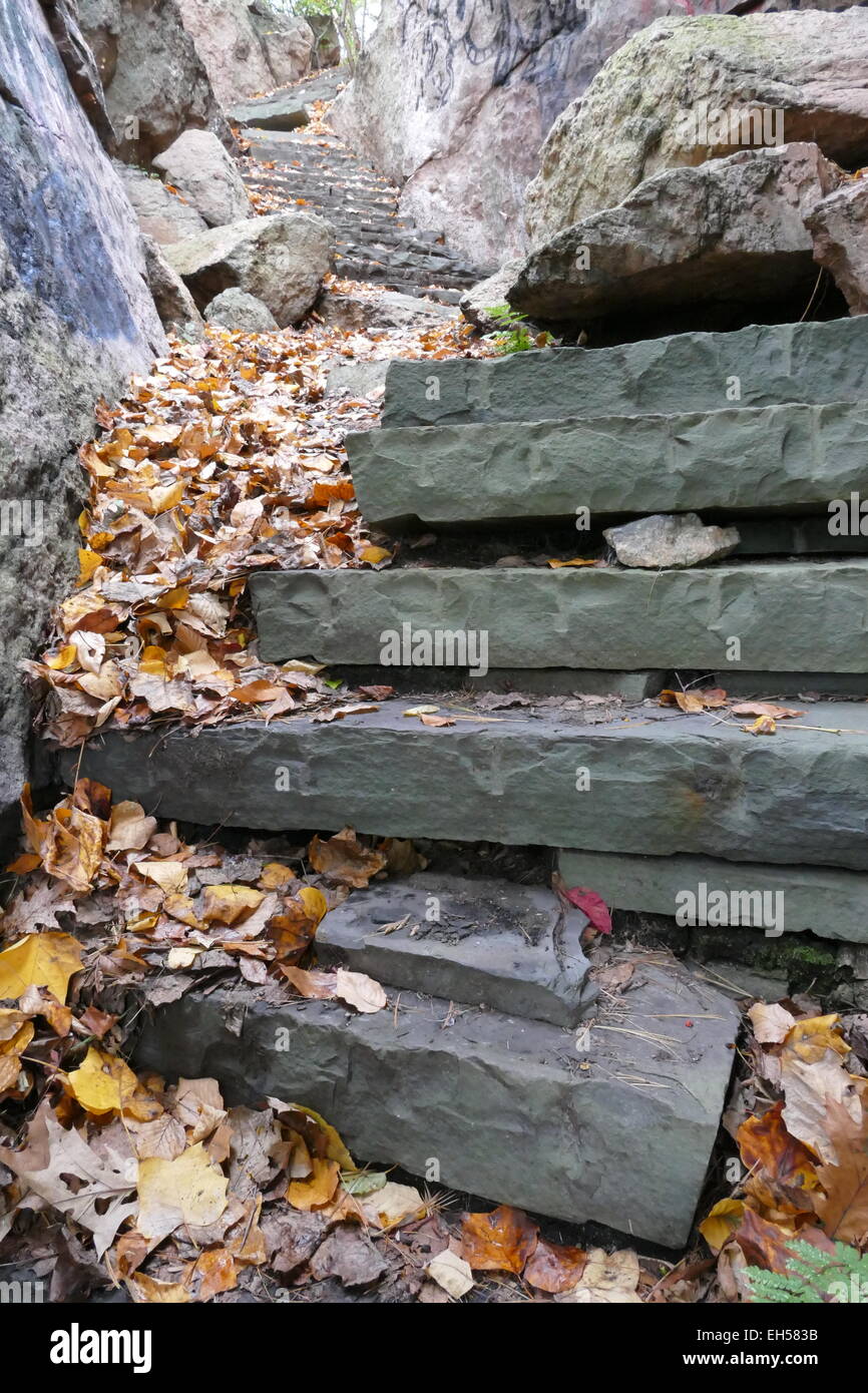 Explore the nature while climbing the stairs hi-res stock photography ...