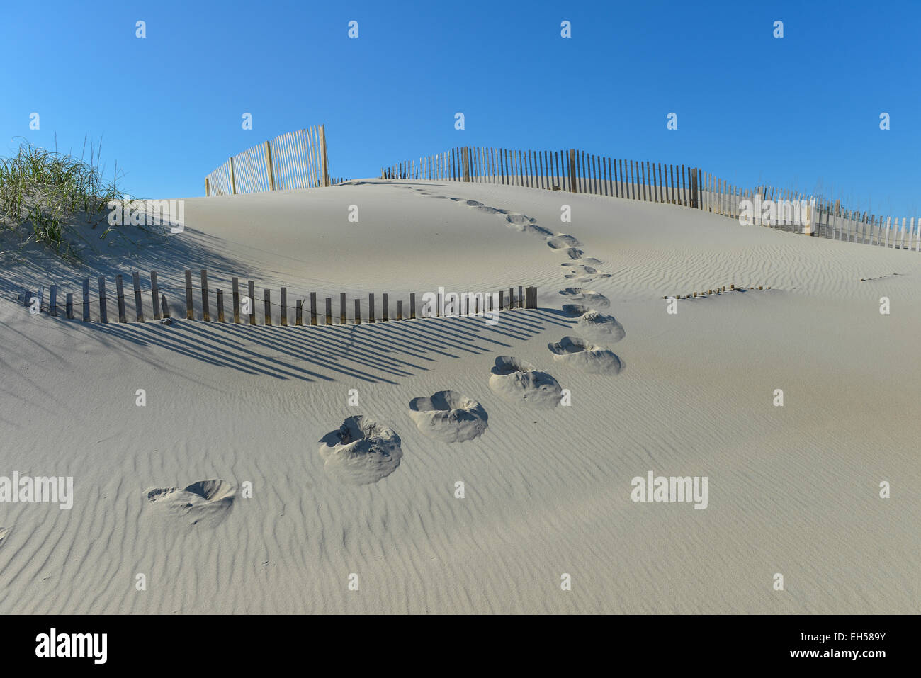 Dune grass fence coast hi-res stock photography and images - Alamy